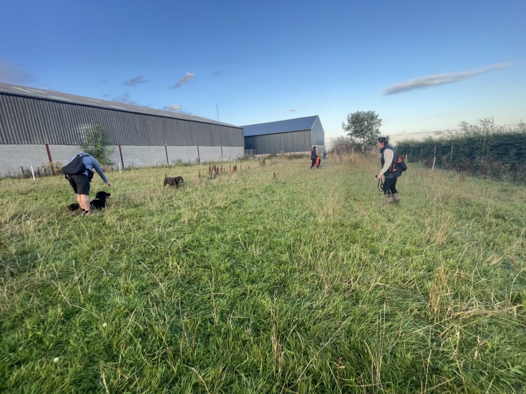 Evolution Dog Training - Evolution Dog Training